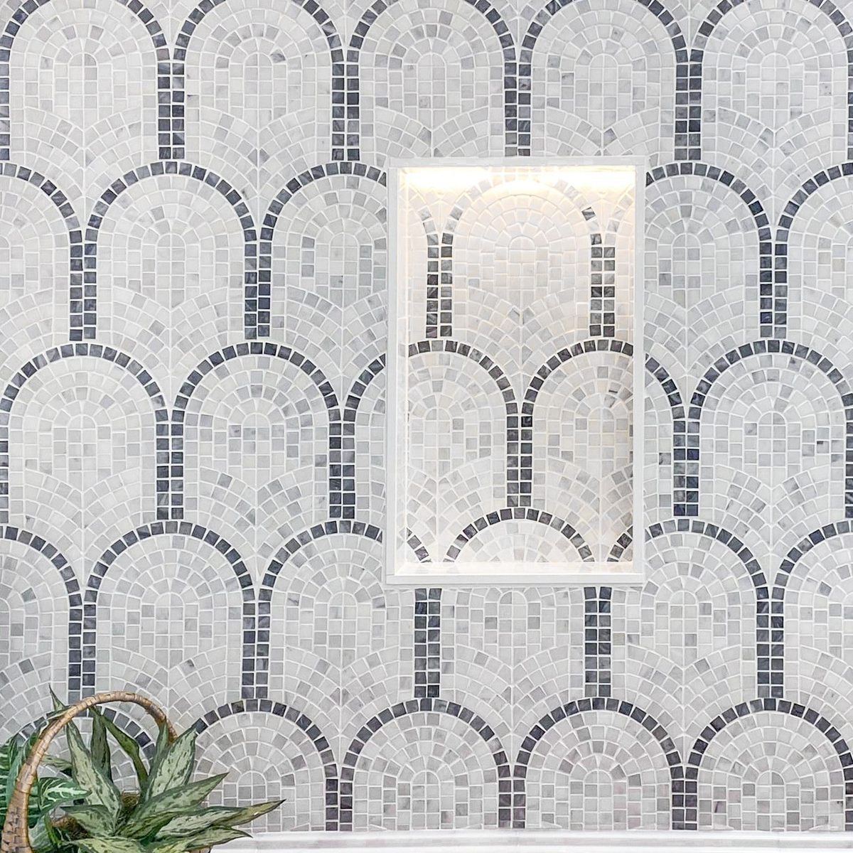 Curvosa – Elon Tile & Stone