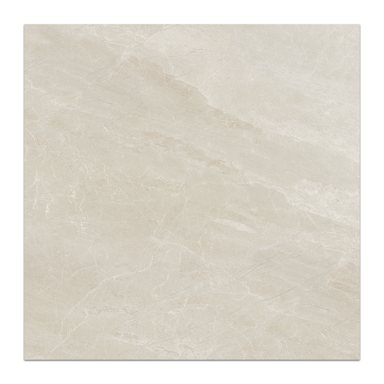 Nuance White Shell – Elon Tile & Stone